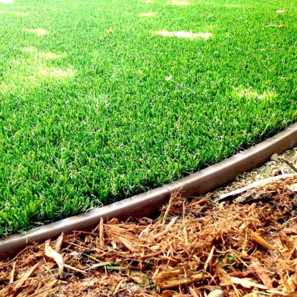 WONDER EDGE — Manases Evergreen Turf